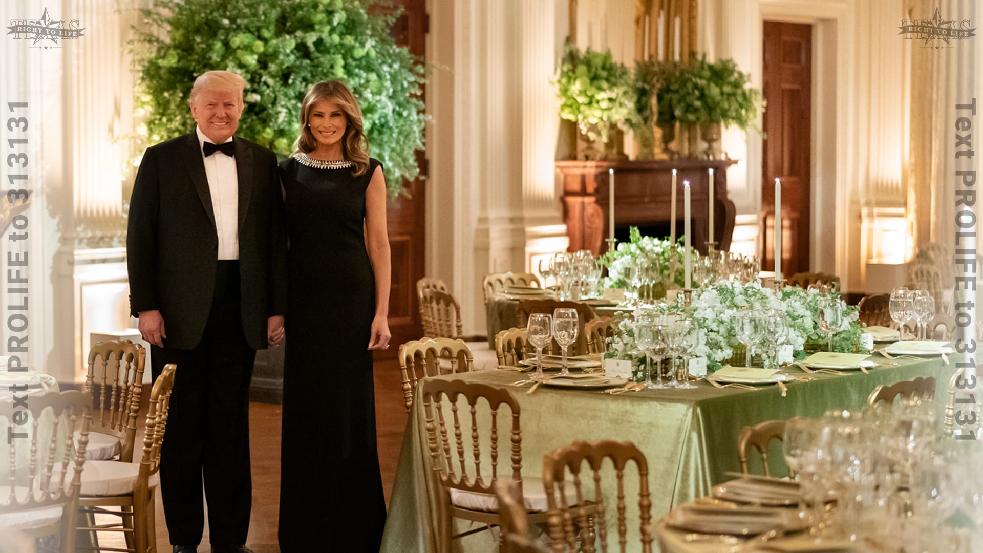 Zoom Backgrounds for Online Texas Republican Convention | Texas Right ...