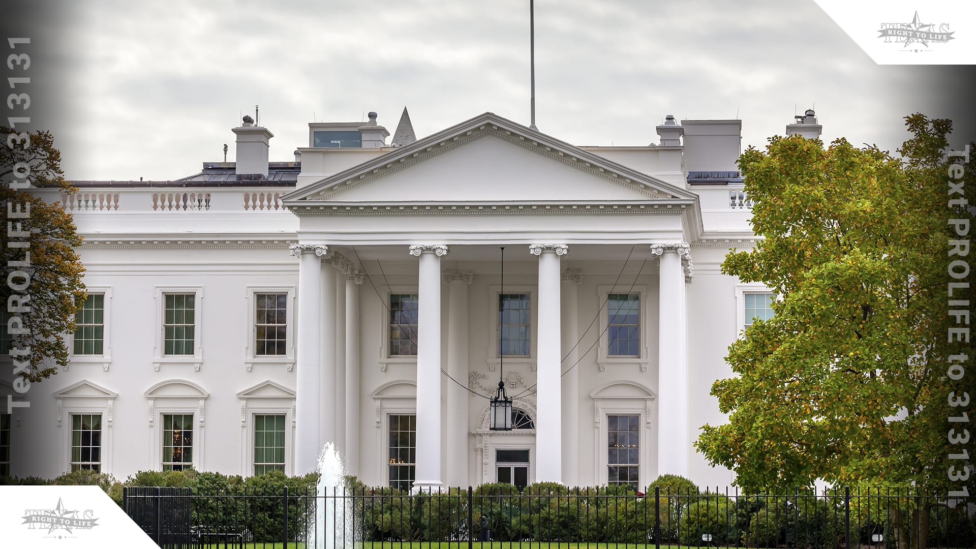 Zoom Backgrounds for Online Texas Republican Convention | Texas Right ...